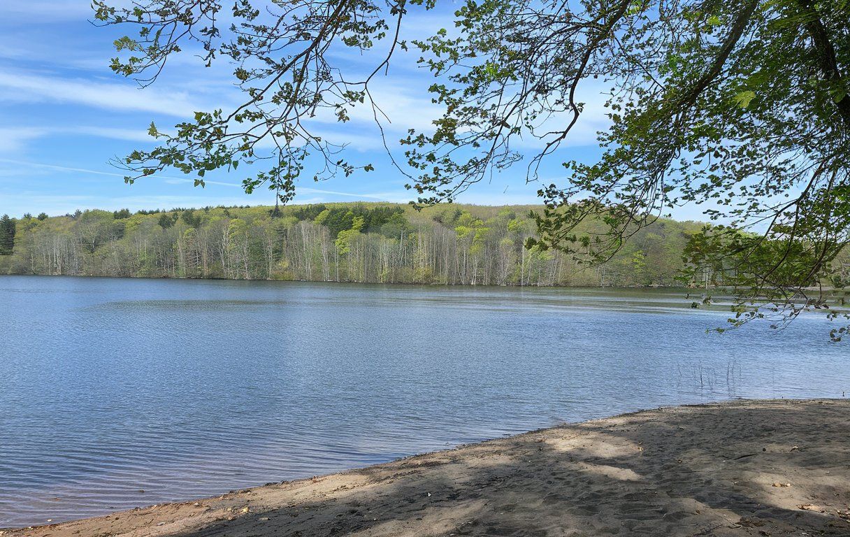 Cockaponset State Forest Visitor Guide – Connecticut Visitor Guide