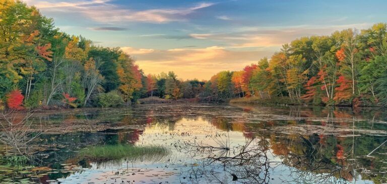 Cockaponset State Forest Visitor Guide – Connecticut Visitor Guide